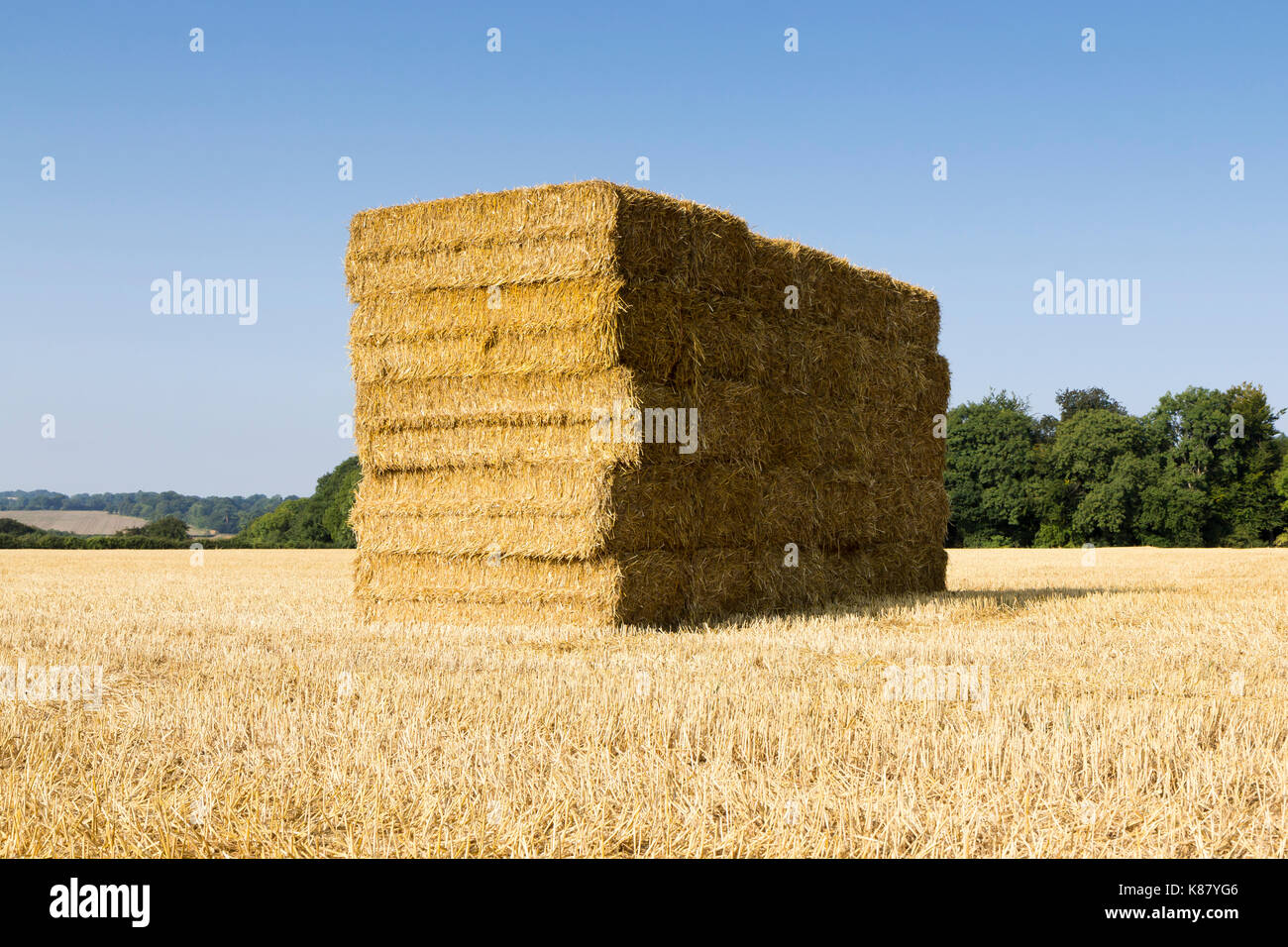 Large rectangular haystack in an English field with sun and blue sky ...