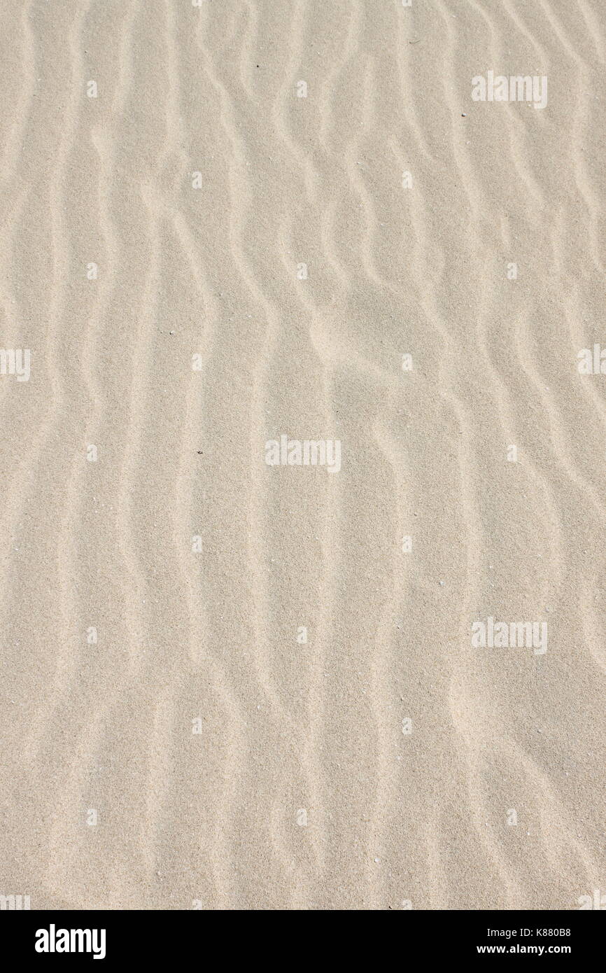 Human footsteps in the sand dunes of a desert Stock Photo - Alamy
