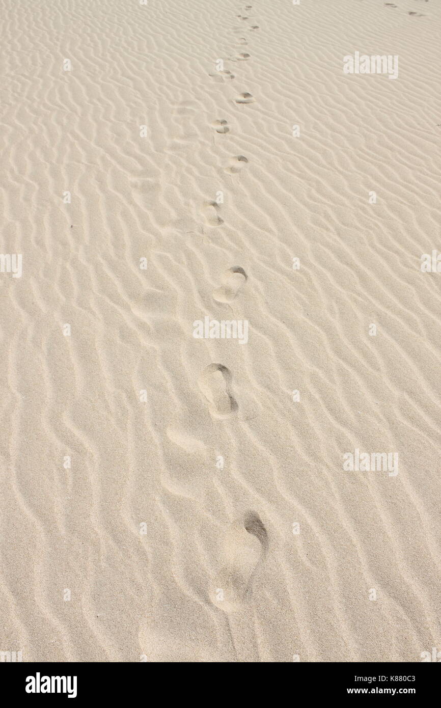 Human footsteps hi-res stock photography and images - Alamy
