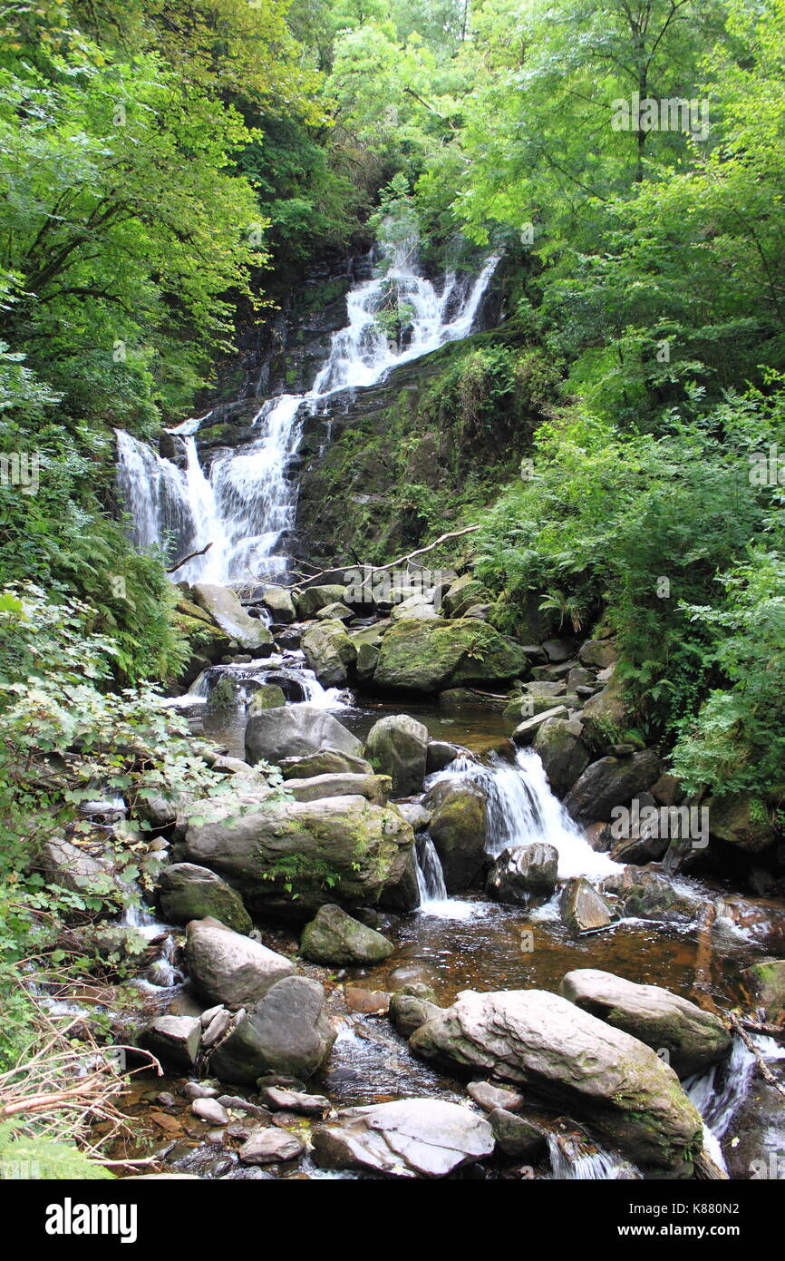 Torc waterfall in the Ring of Kerry forest, Ireland Stock Photo - Alamy