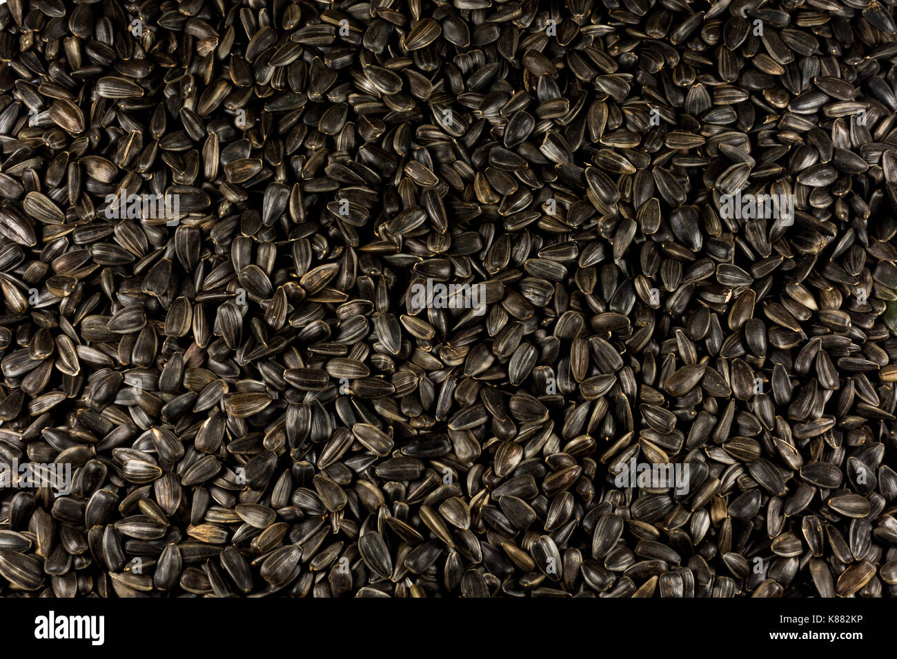 Texture of sunflower seeds Stock Photo - Alamy