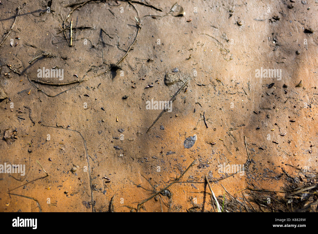 Dirty sand hi-res stock photography and images - Alamy