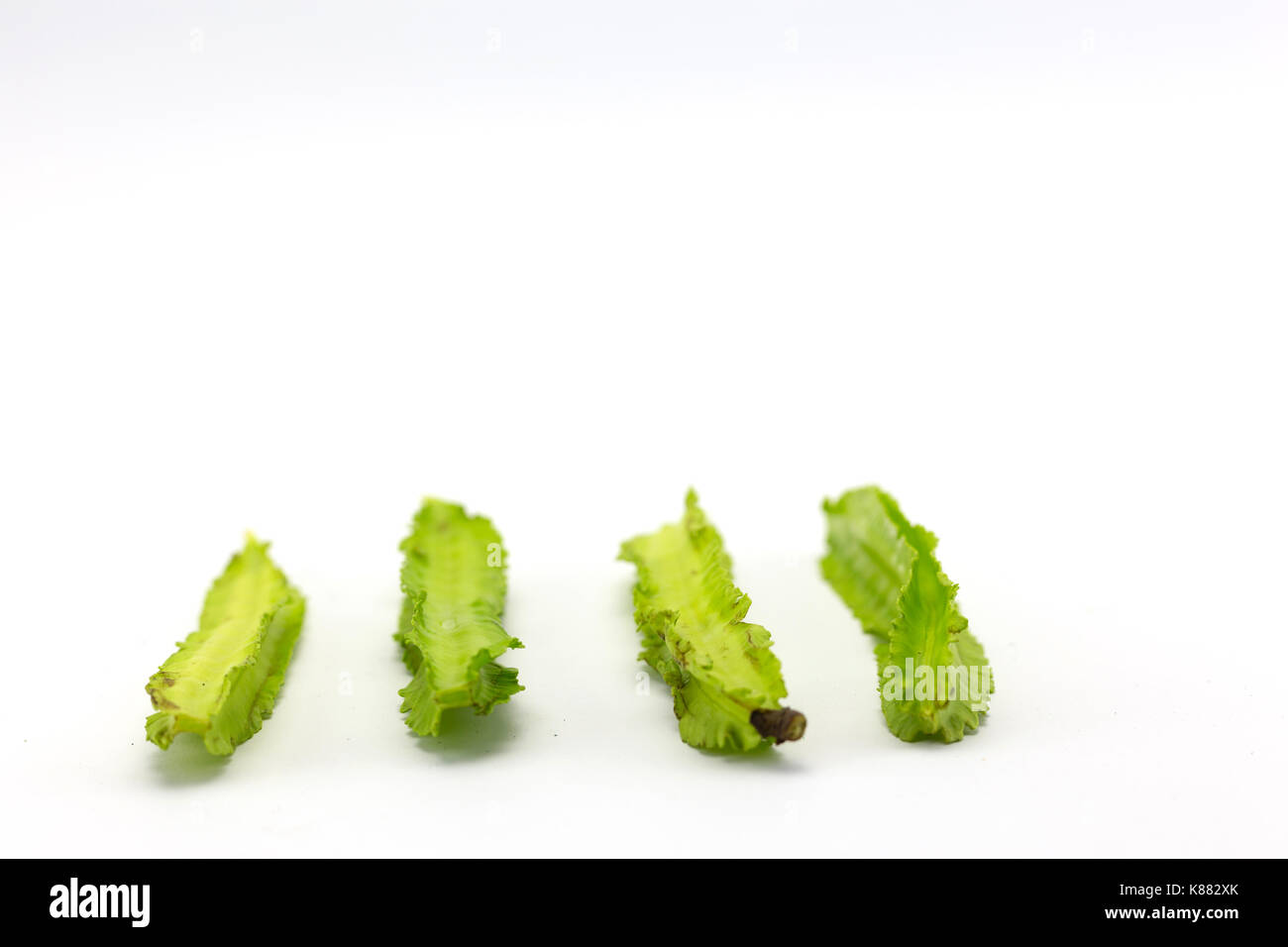 winged bean on white background Stock Photo - Alamy