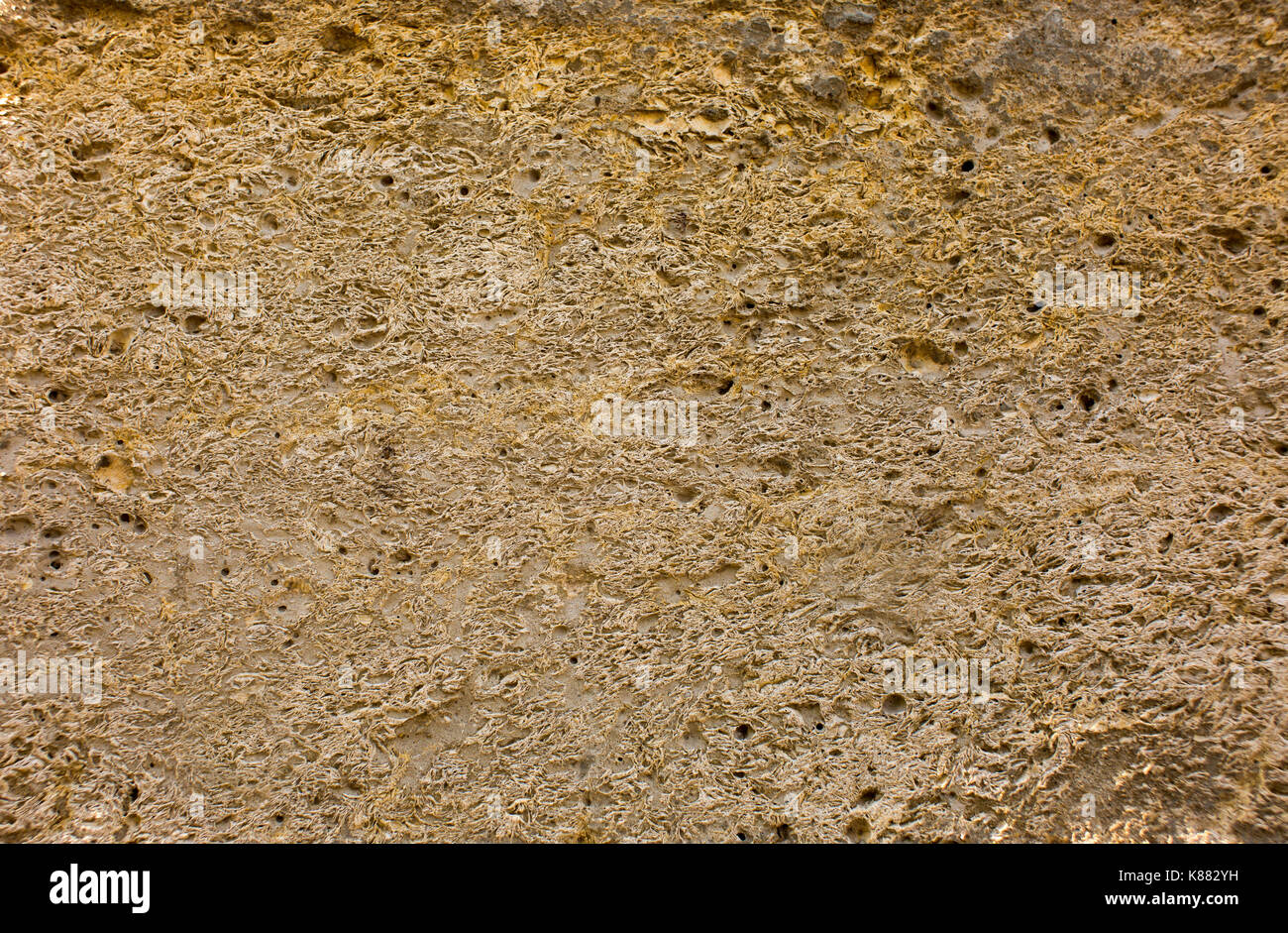 The texture of limestone Stock Photo - Alamy