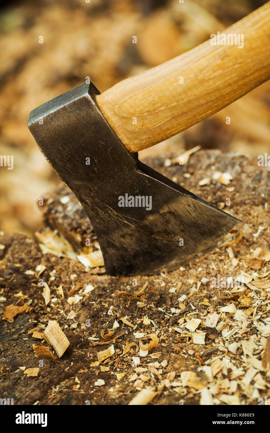The blade of a small axe stuck in a splitting block covered in wood ...