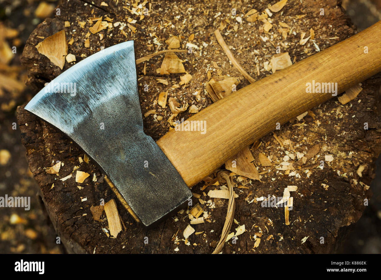 High angle close up of an axe on a splitting block covered in wood ...