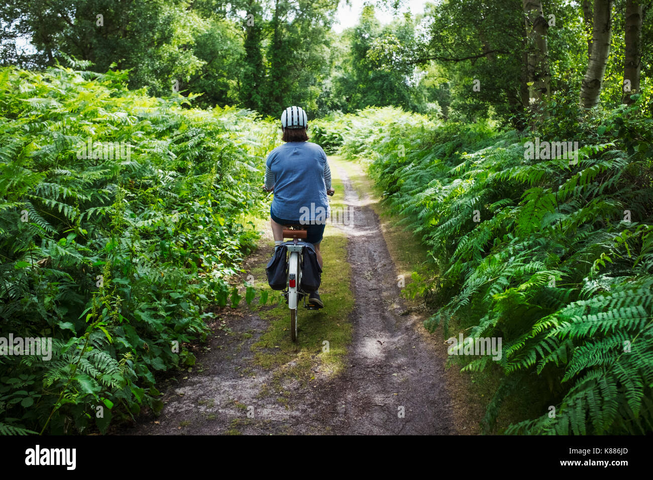 Rear view of woman cycling along forest path under a green tree canopy ...