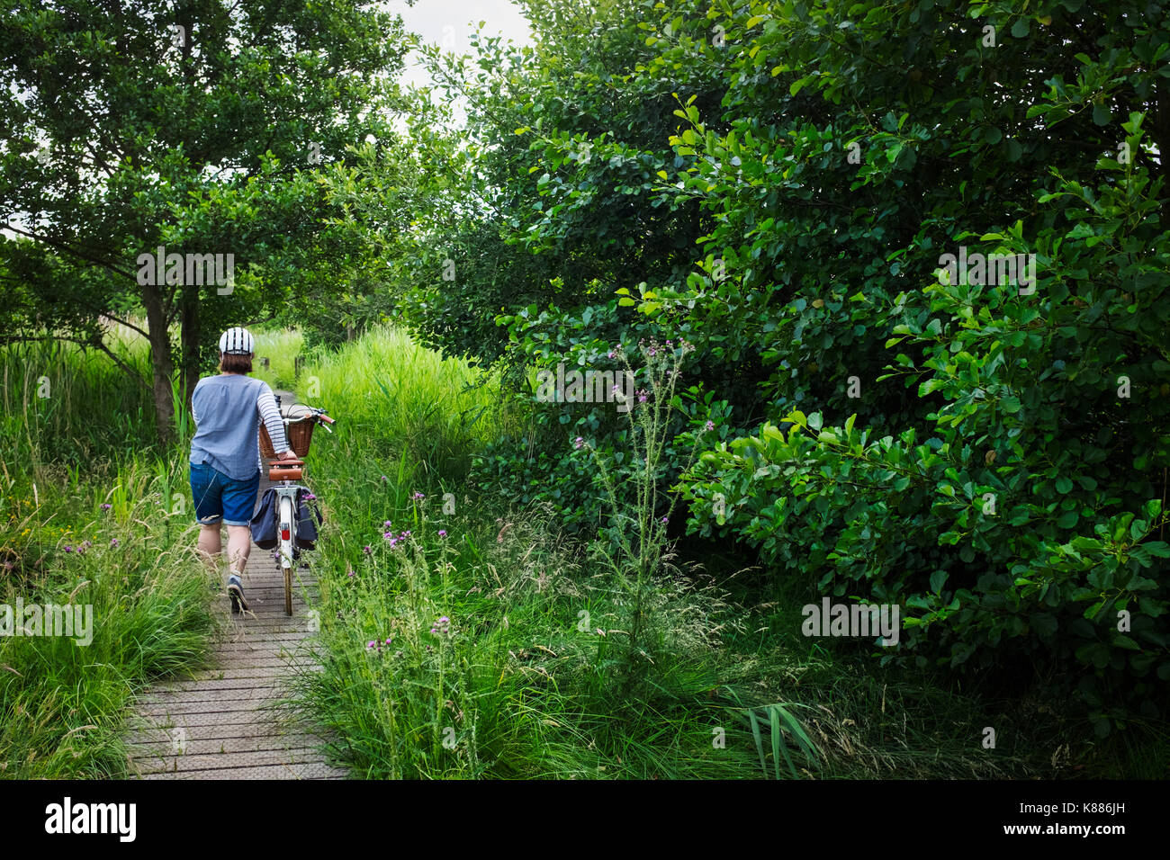 Woman pushing bicycle hi-res stock photography and images - Alamy