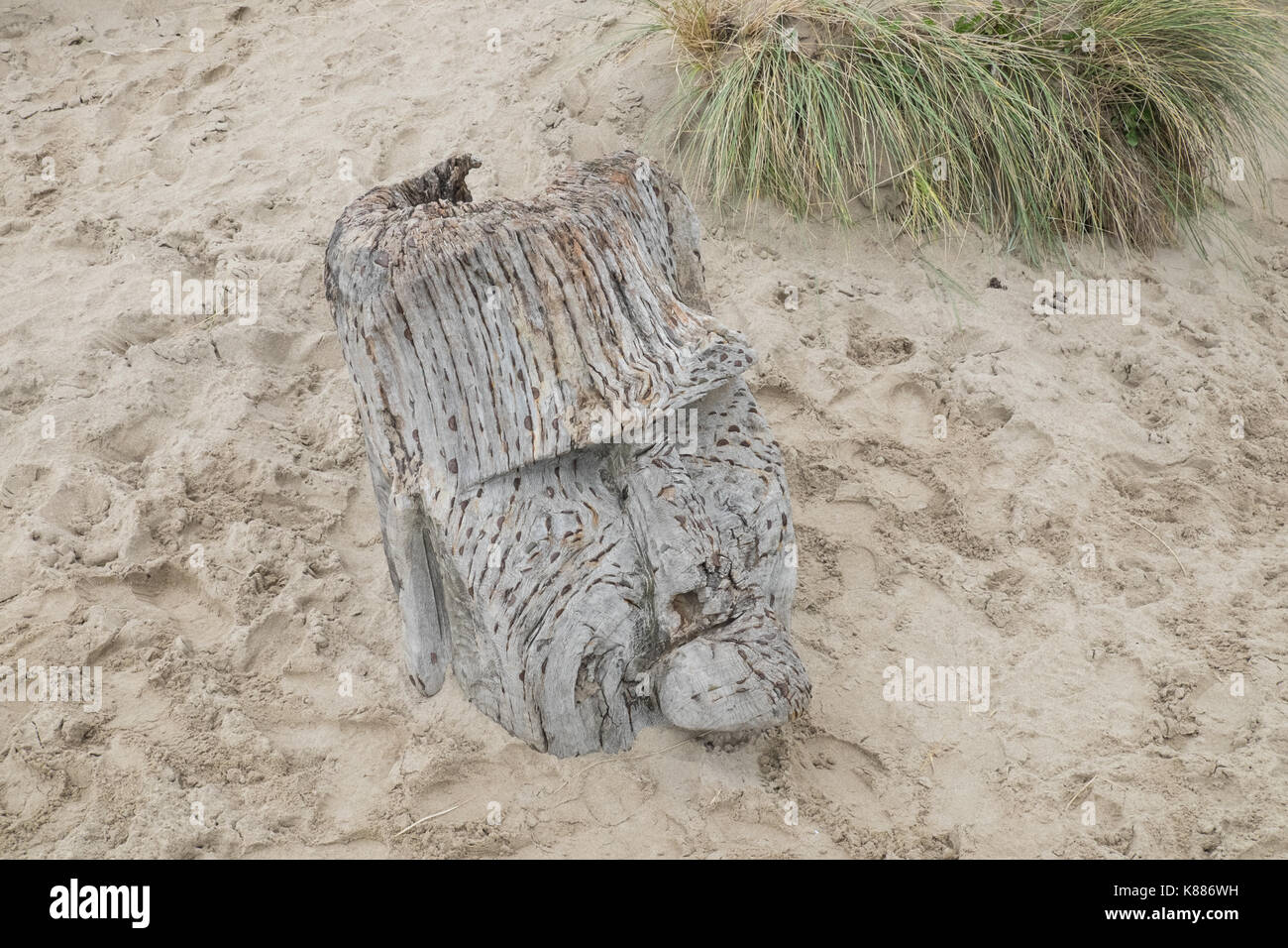 Barmouth wales town centre hi-res stock photography and images - Alamy