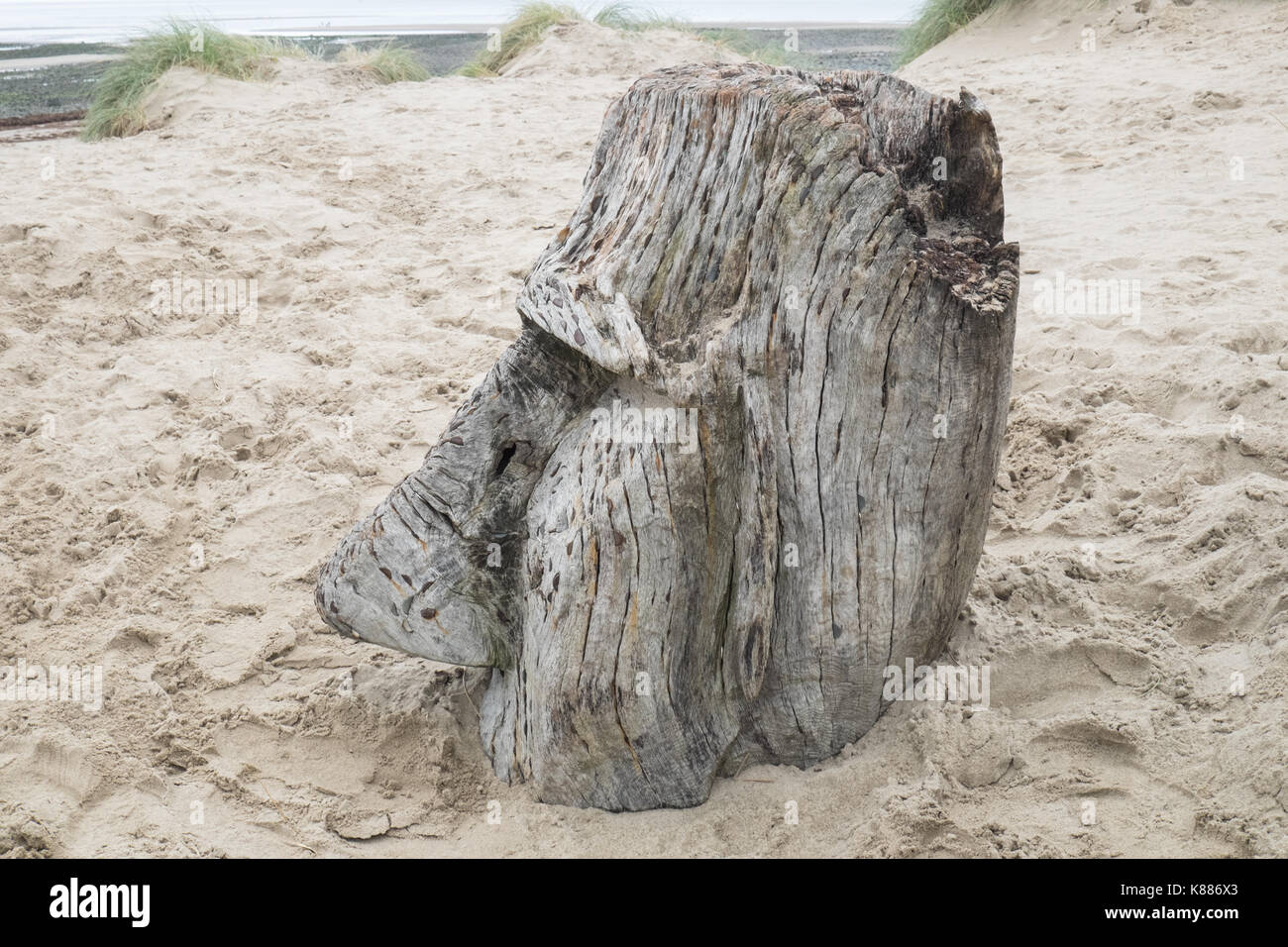 Barmouth wales town centre hi-res stock photography and images - Alamy