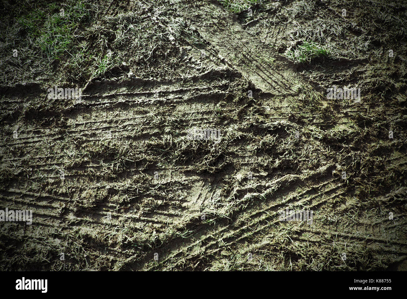 Muddy car wheel tracks in mud in a grass field car park Stock Photo - Alamy