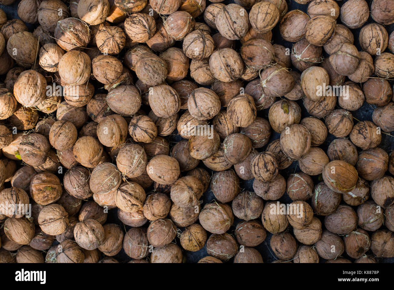 Many walnuts. Nuts in a box. Texture nuts Stock Photo - Alamy