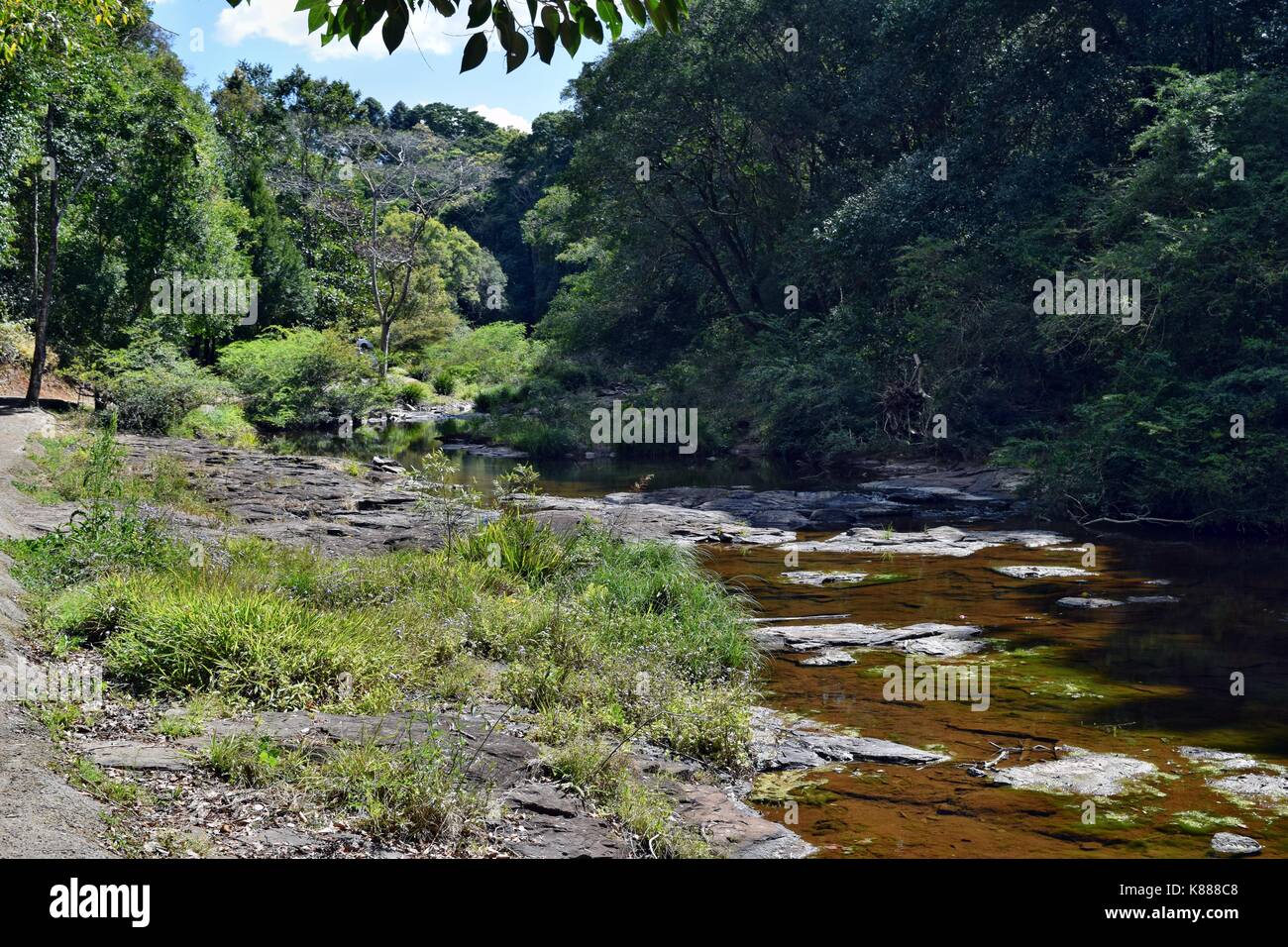 Beautiful Gardners Falls in Maleny, Sunshine Coast, Australia Stock ...