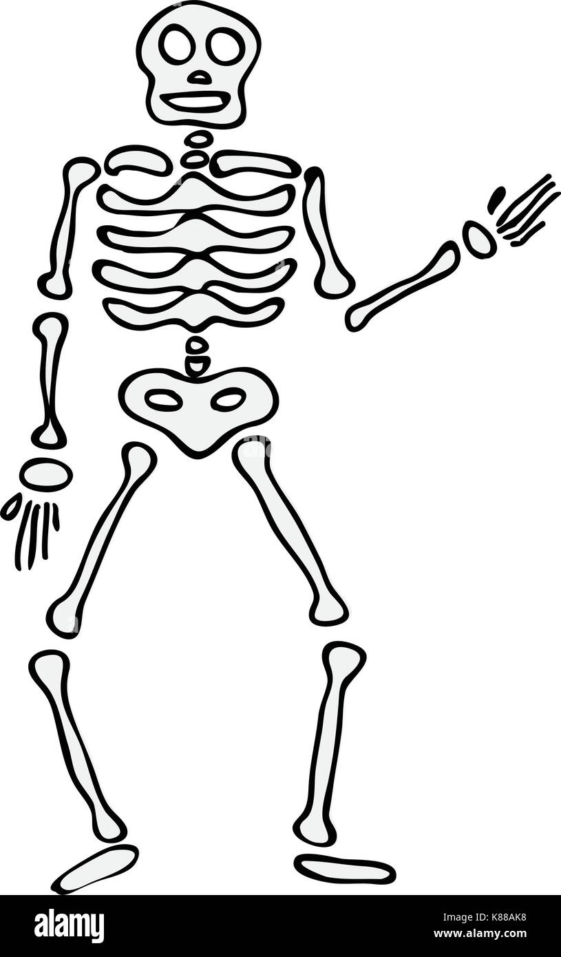 halloween skeleton vector symbol icon design. Beautiful illustration ...