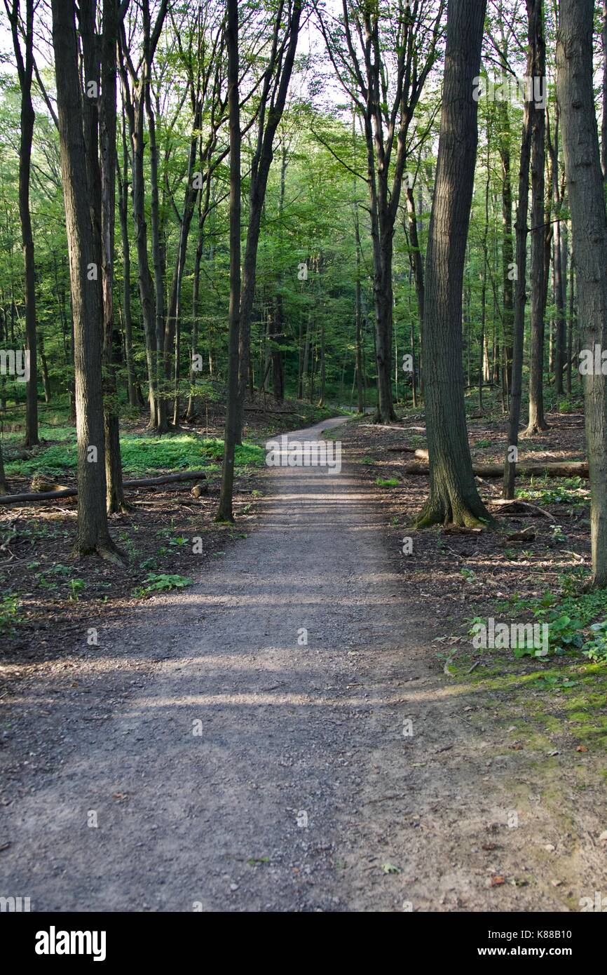 Isolated picture with a beautiful trail leading Stock Photo - Alamy