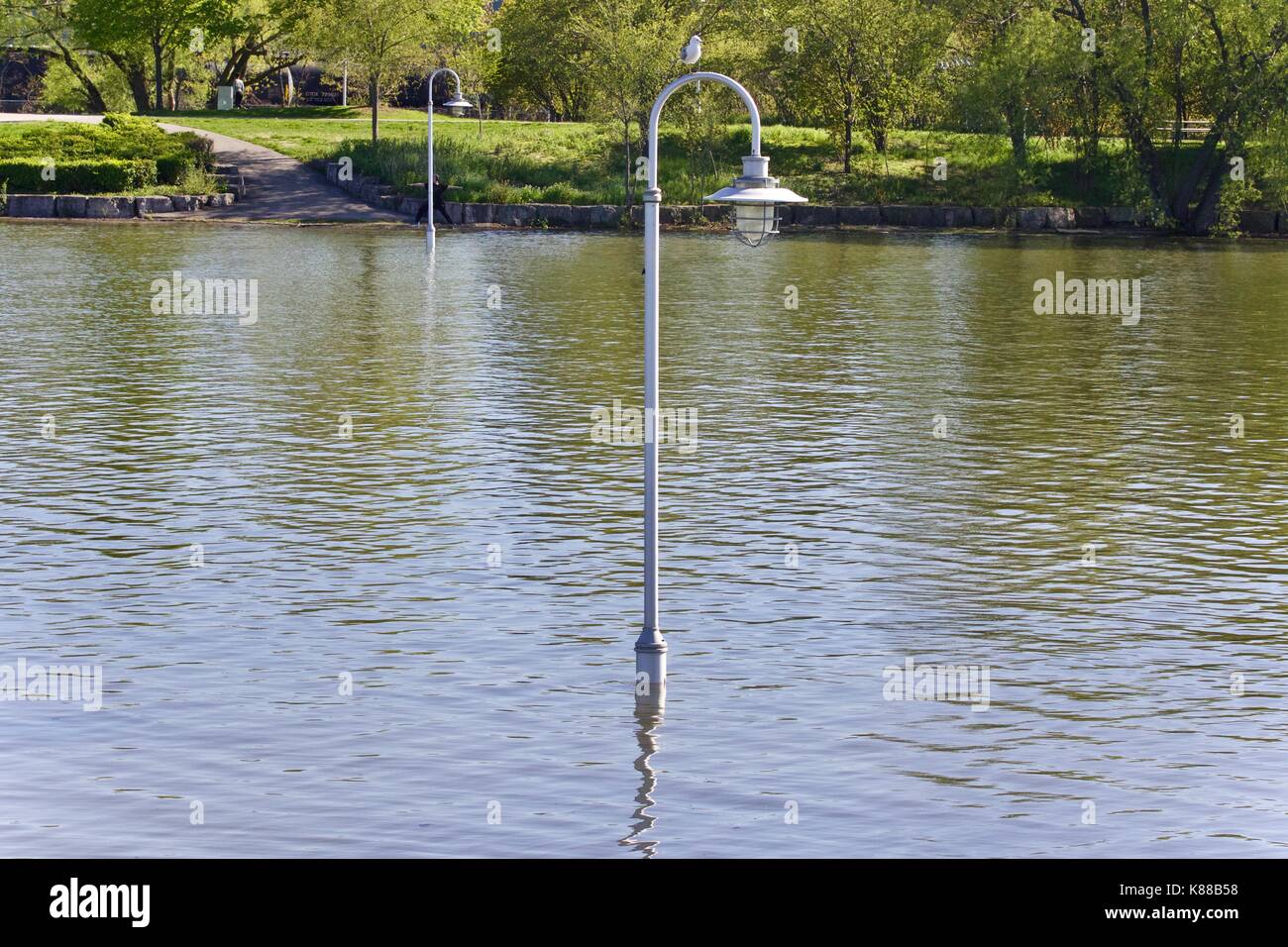 Image of a lights posts in water during flood Stock Photo - Alamy