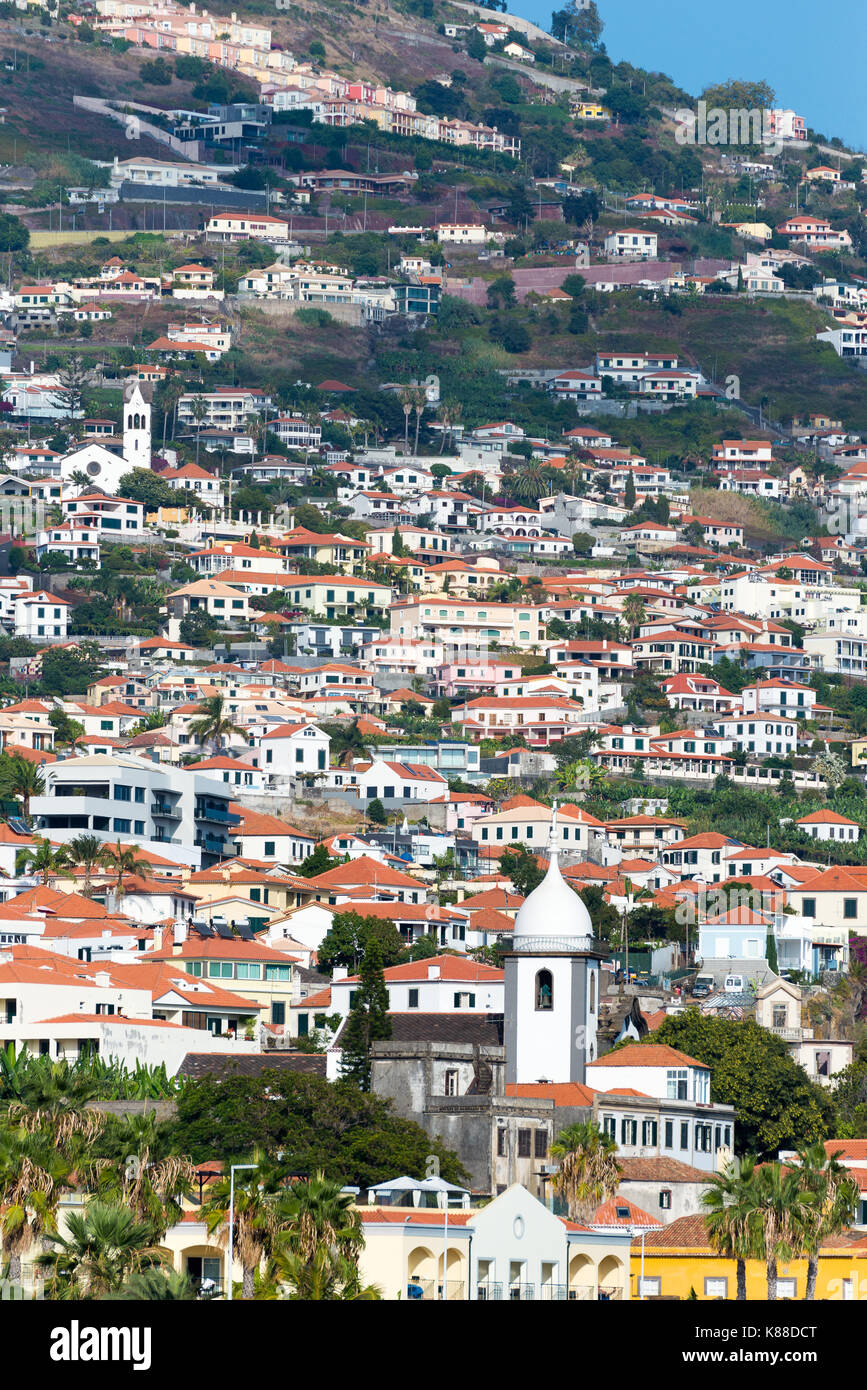 houses on the steep slopes of the city of Funchal, capital of the ...