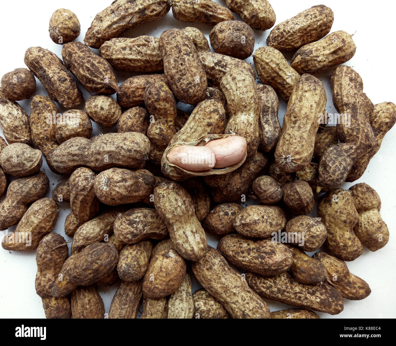 Shengdane hi-res stock photography and images - Alamy