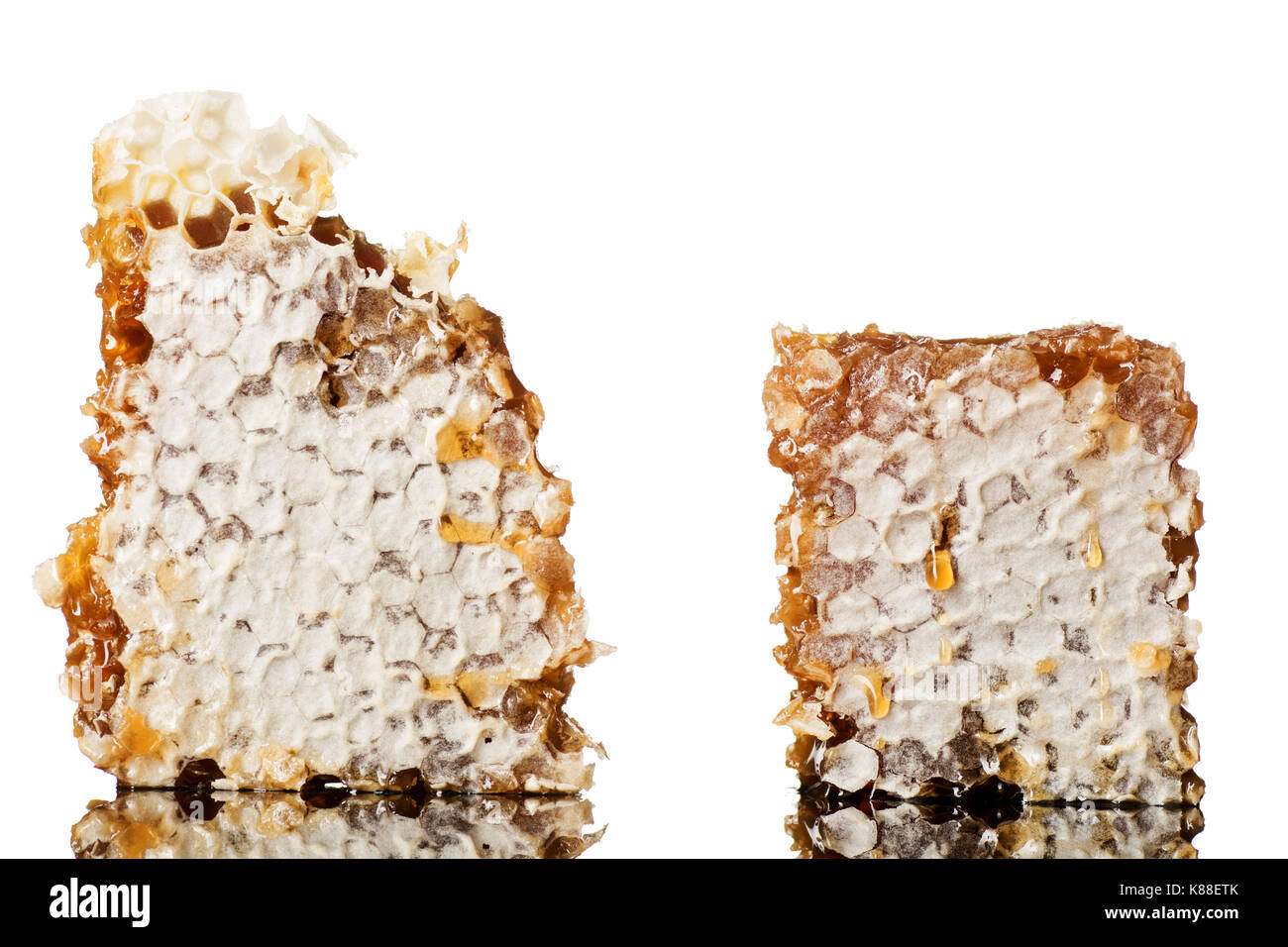 Honeycomb close up isolated on the white background Stock Photo - Alamy