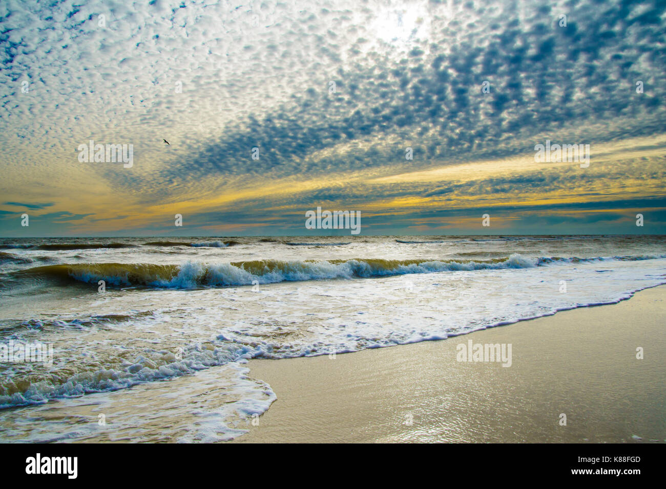 Bondi beach at night hi-res stock photography and images - Alamy