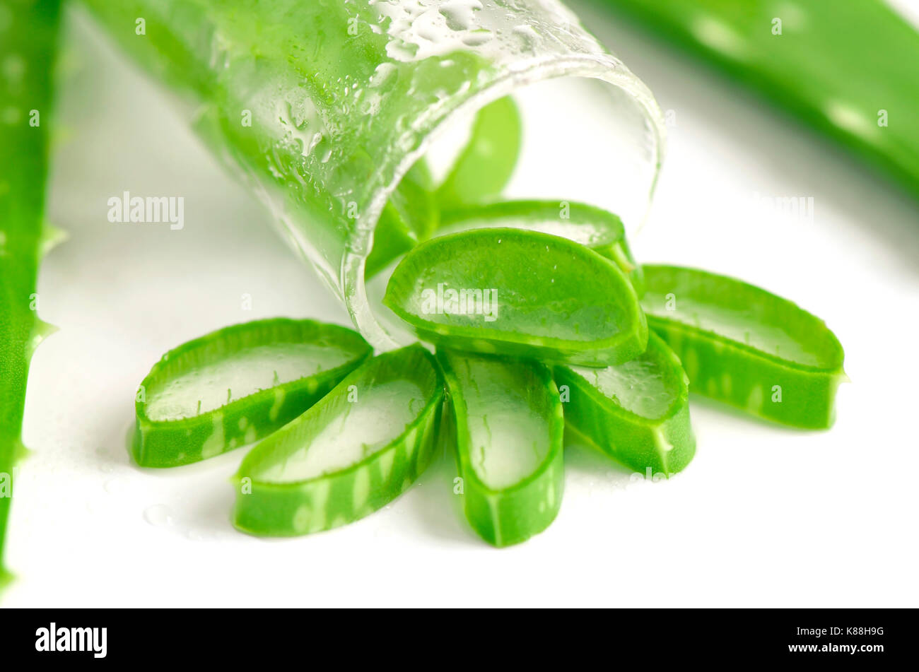 Cut Aloe Vera leaves with test tube on white background Stock Photo - Alamy