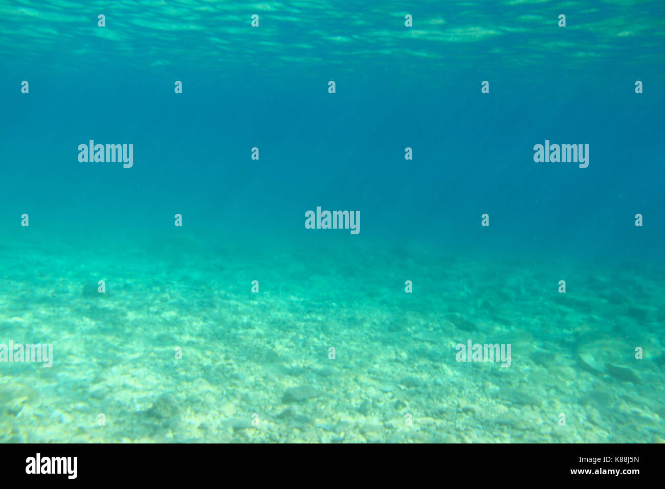 Underwater sea view background of transparent clear water, sea bottom ...