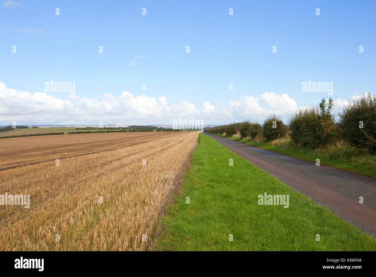 Straight lines in fields hi-res stock photography and images - Alamy