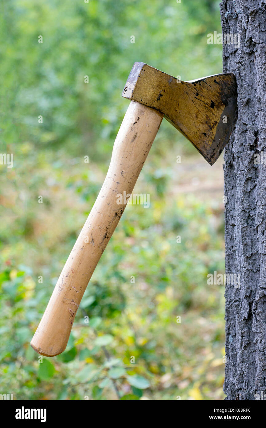 Axe wound hi-res stock photography and images - Alamy