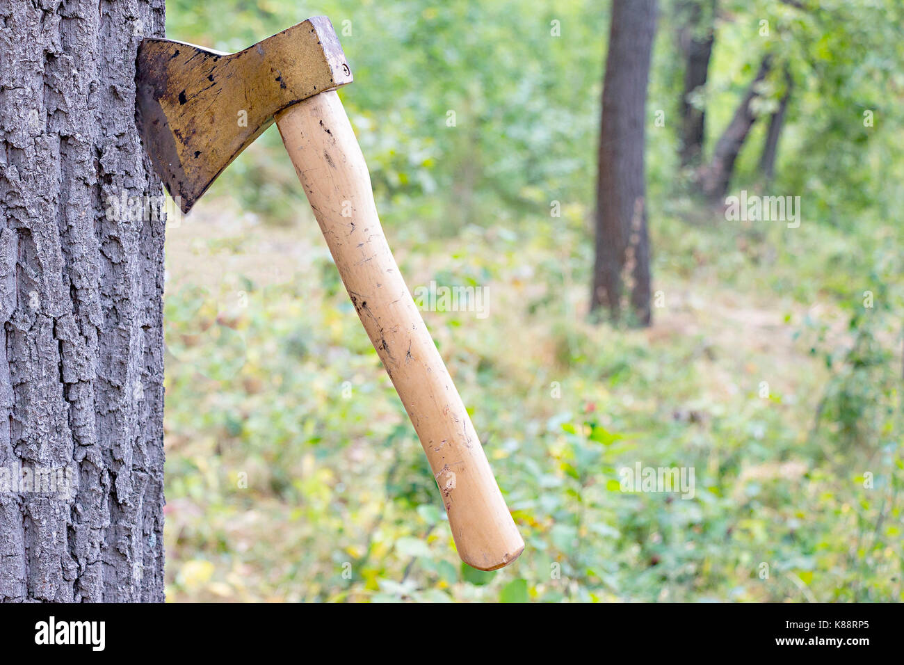 Hewing axe hi-res stock photography and images - Alamy