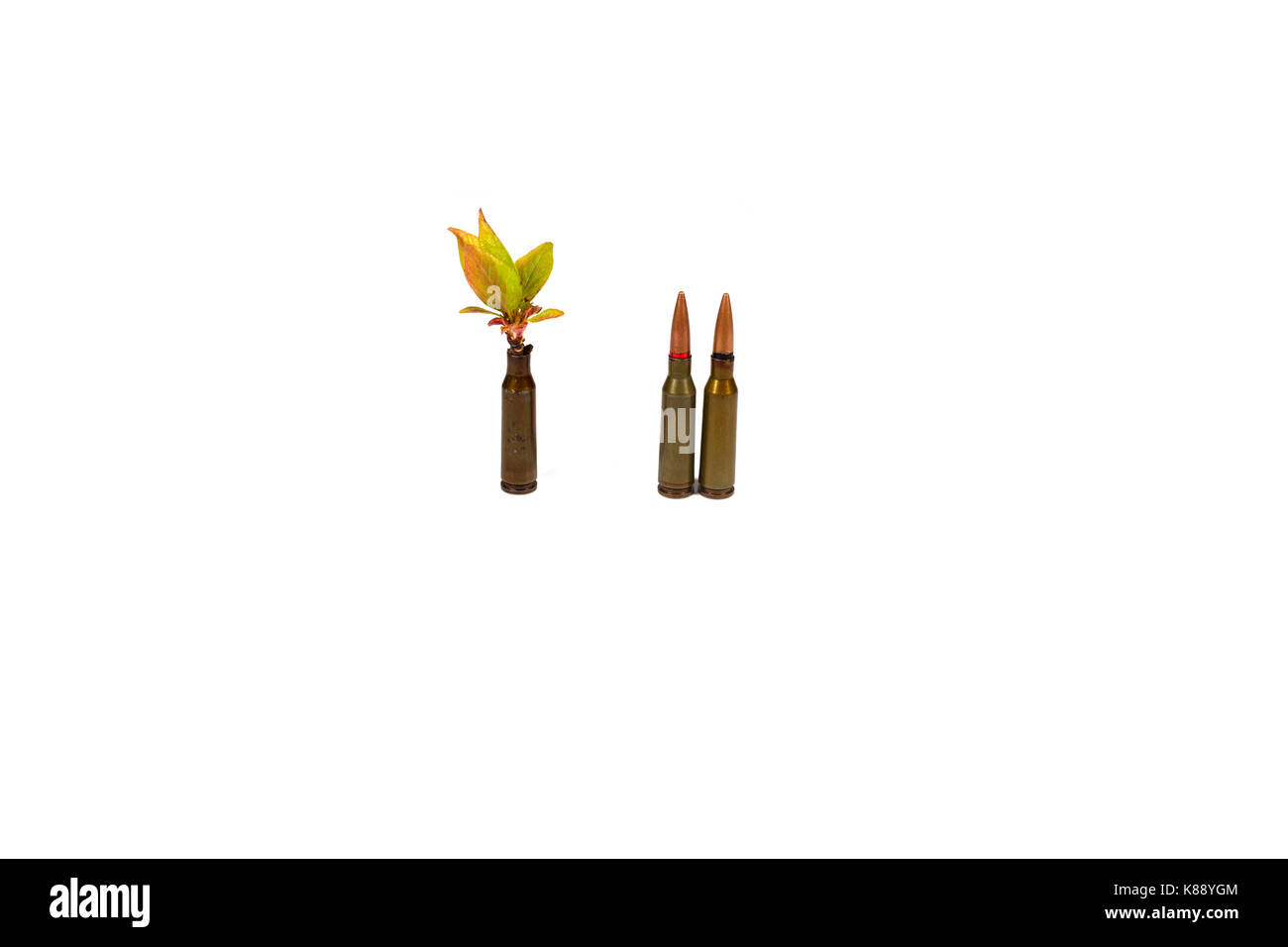Bullets for weapons with a plant Stock Photo - Alamy