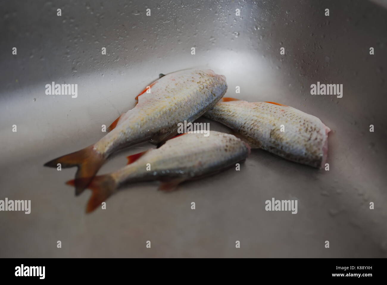 Three Cleaned Headless Fish in the Bowl Stock Photo - Alamy