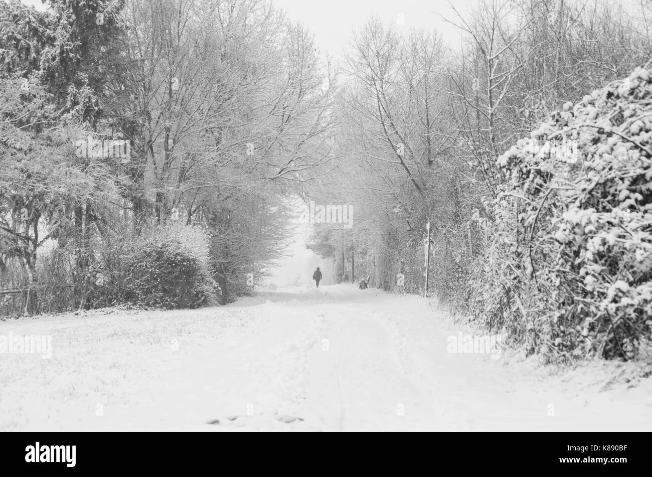 Winter nature. Walkway covered with snow during extreme snowfall in ...