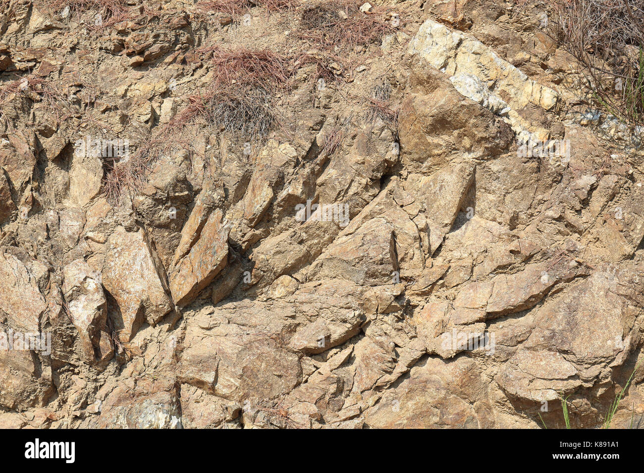 Rocky cliff face, closeup Stock Photo - Alamy