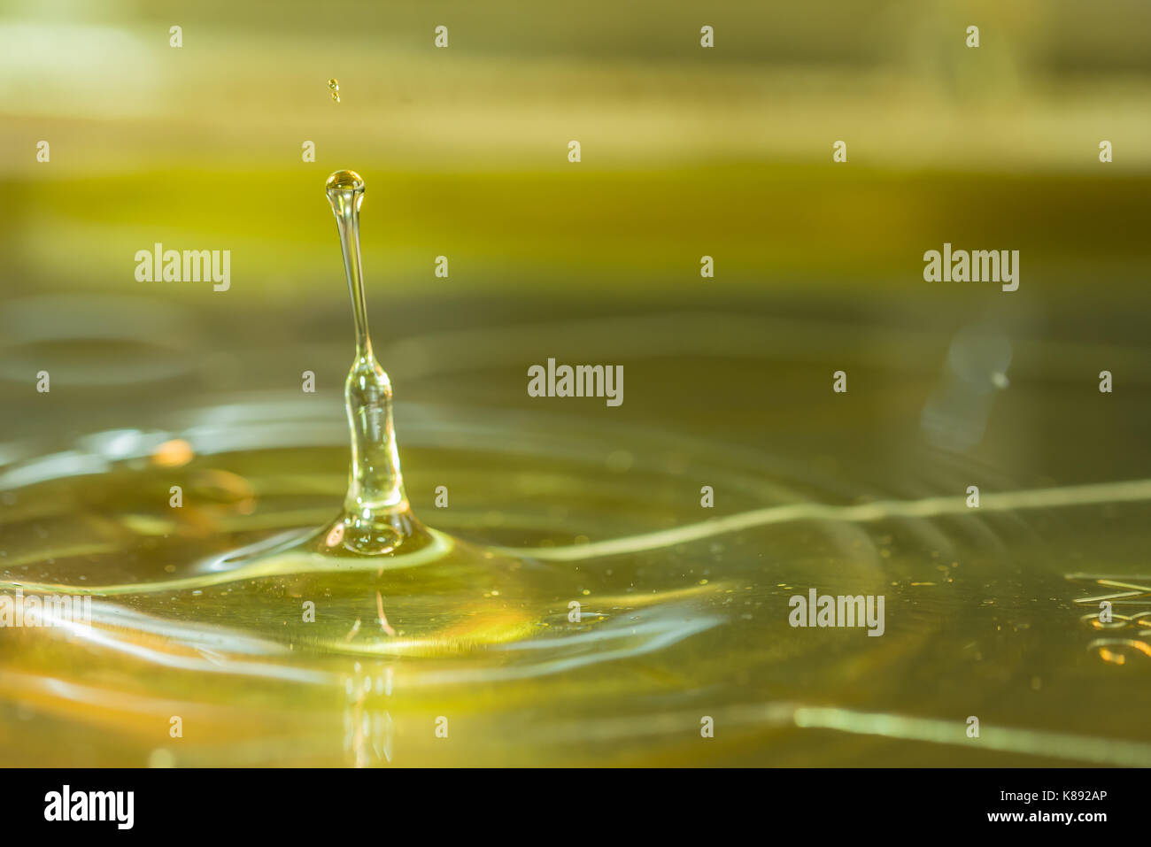 Water drop landing in topical pool Stock Photo - Alamy