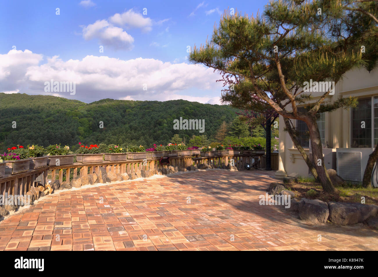 Terrace flower beds hi-res stock photography and images - Alamy