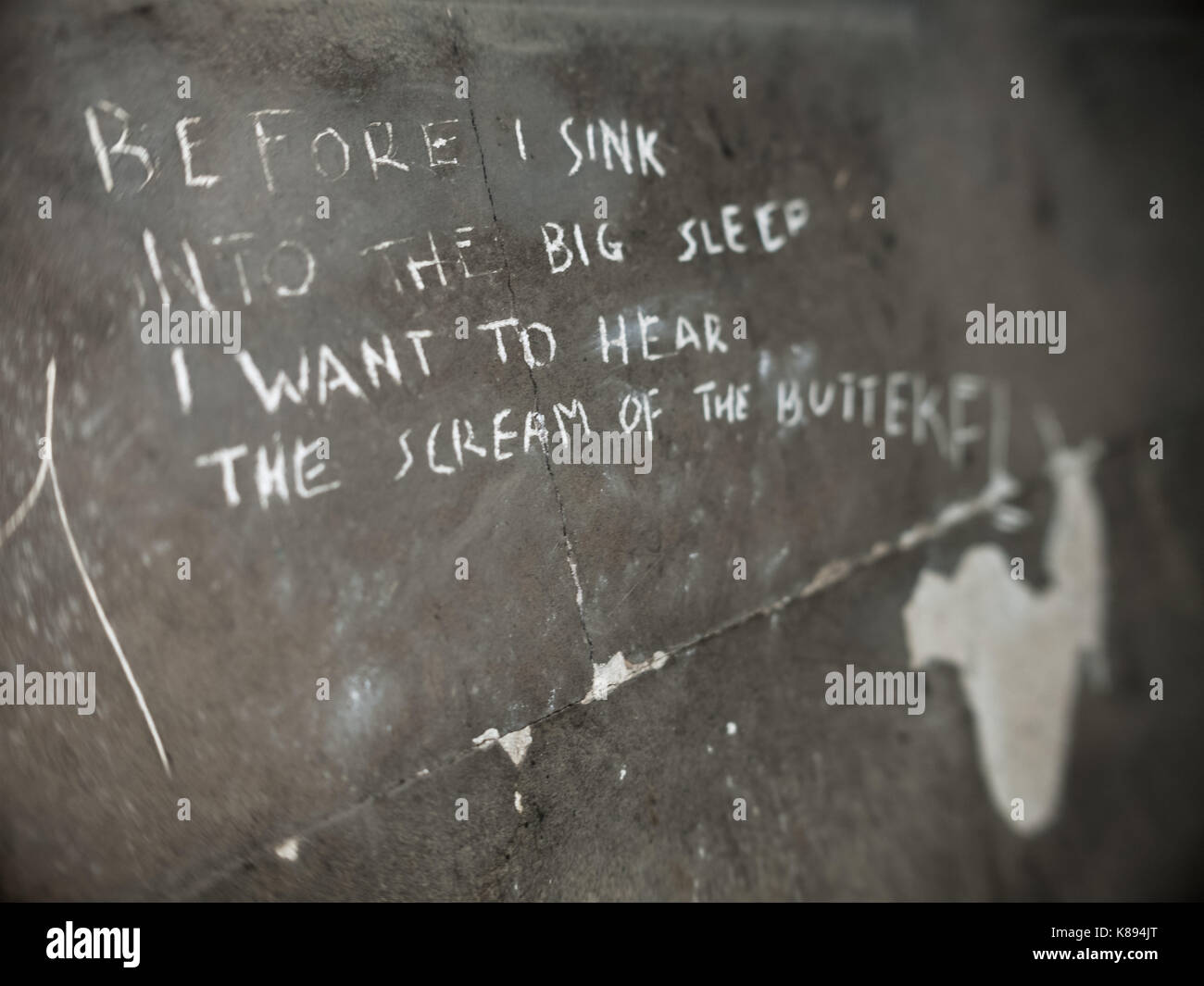 The doors jim morrison hi-res stock photography and images - Alamy