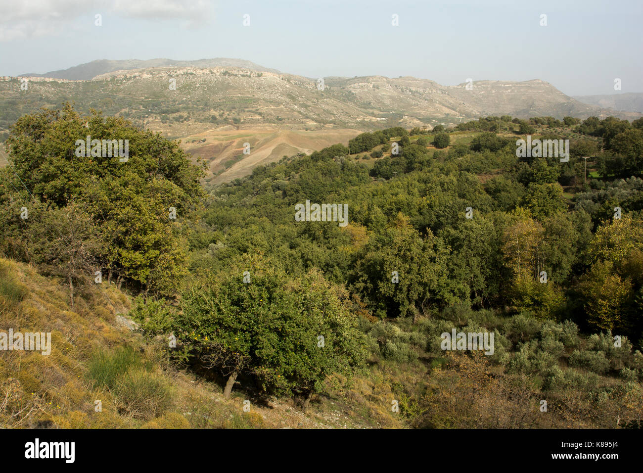 Mediterraner wald hi-res stock photography and images - Alamy