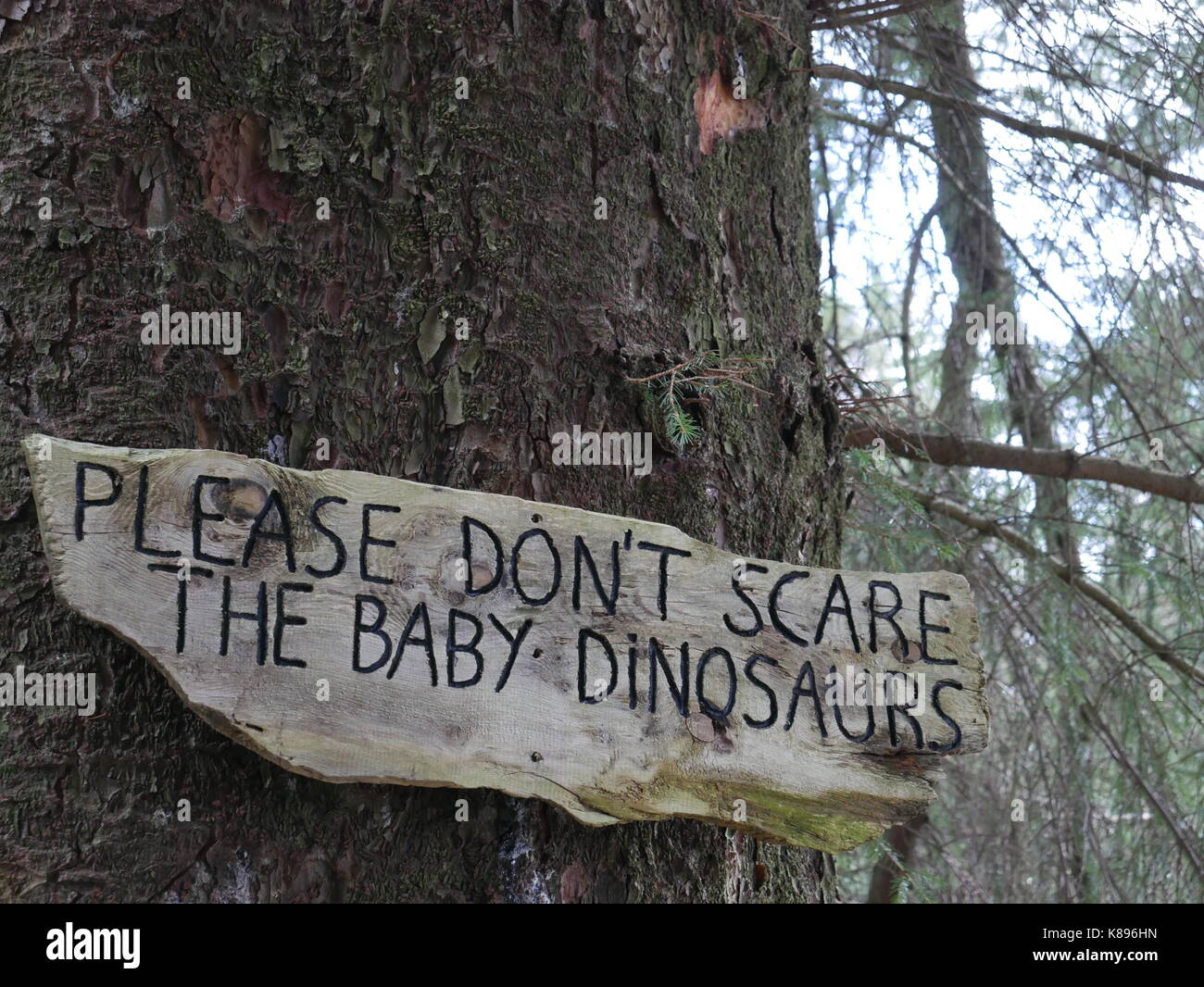 Please dont scare the baby dinosaurs hi-res stock photography and ...