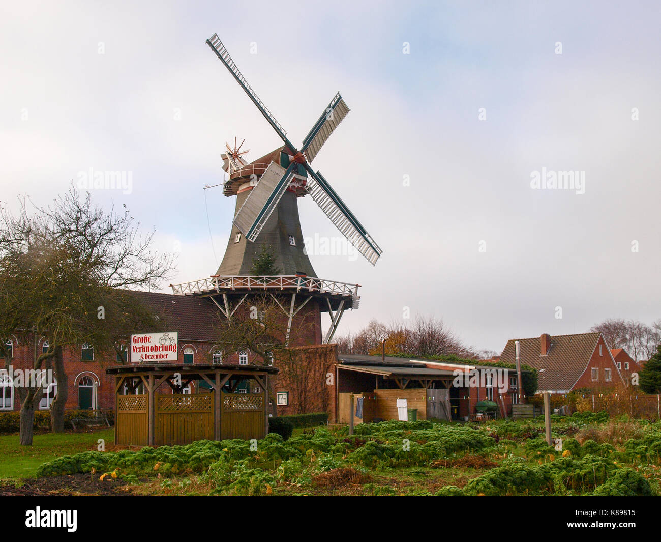 Ostfriesen hi-res stock photography and images - Alamy