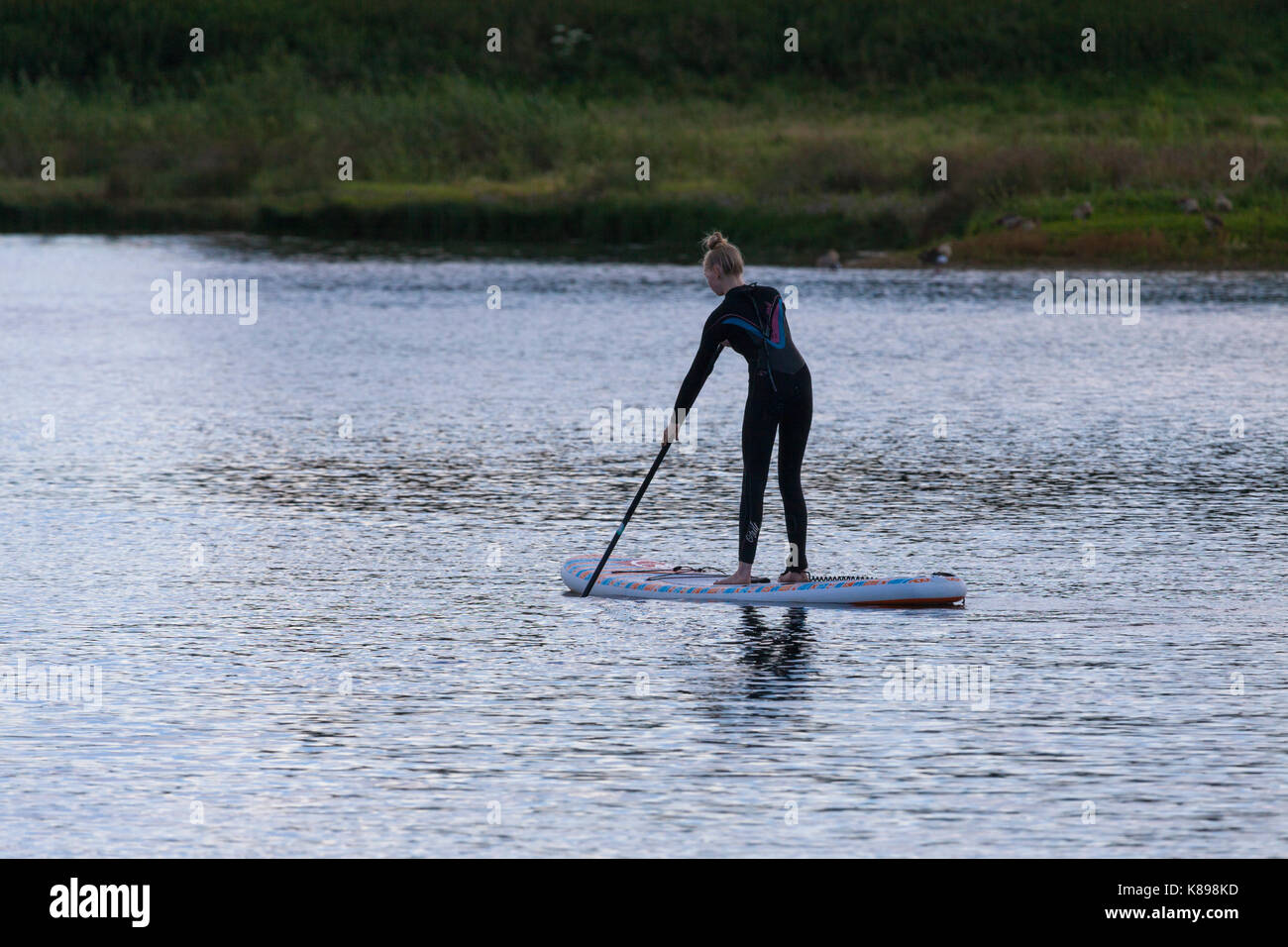 Woman paddle boarder on lake hi-res stock photography and images - Alamy