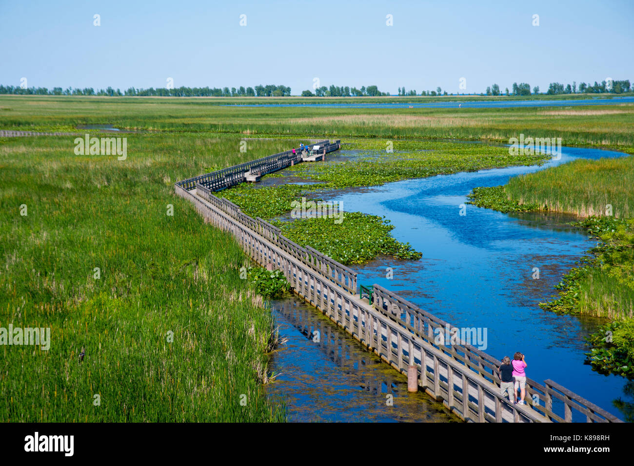 View of the boardwalk along Point Pelee provincial park during the ...