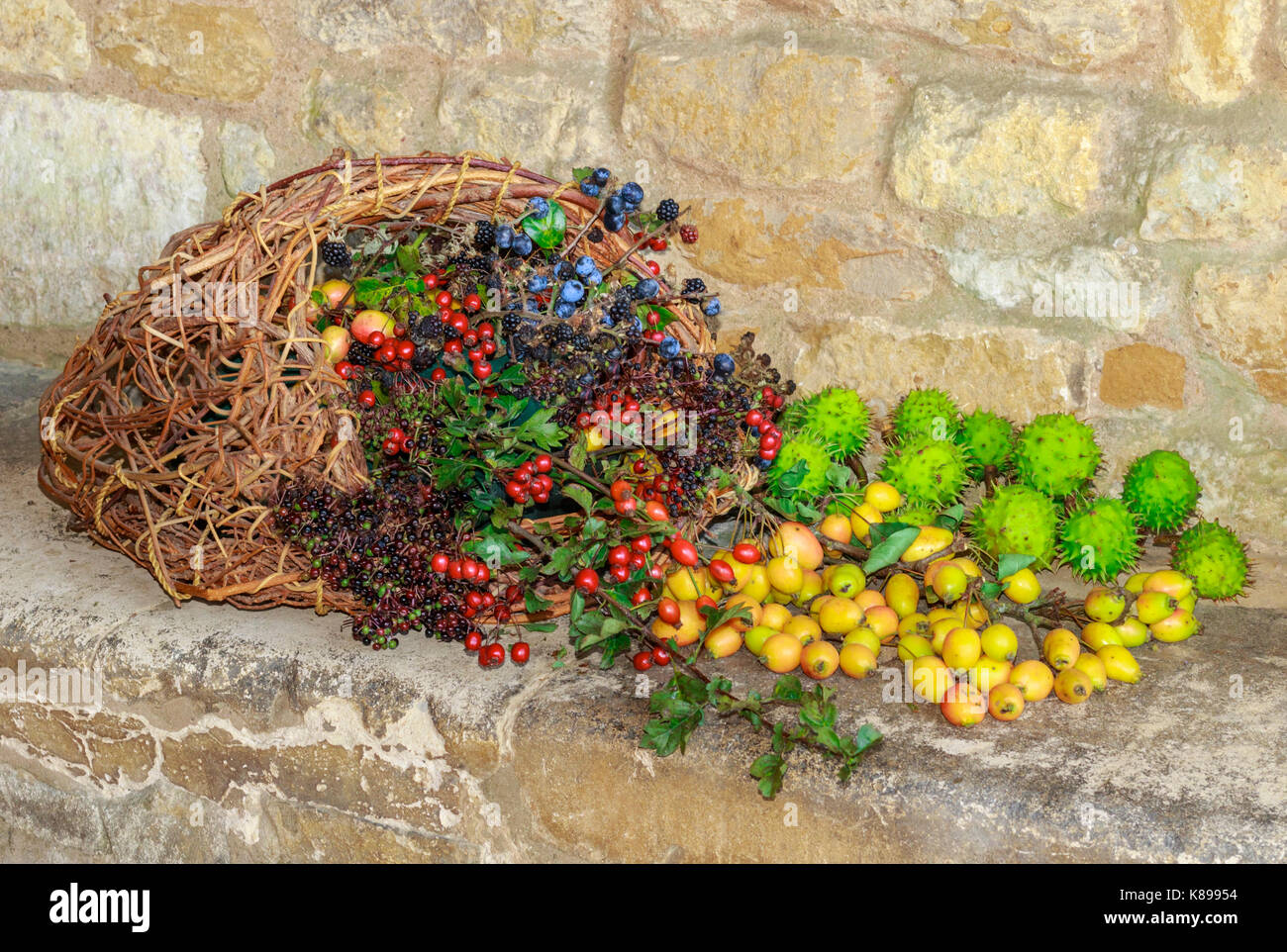 Hedgerow Berries High Resolution Stock Photography and Images - Alamy