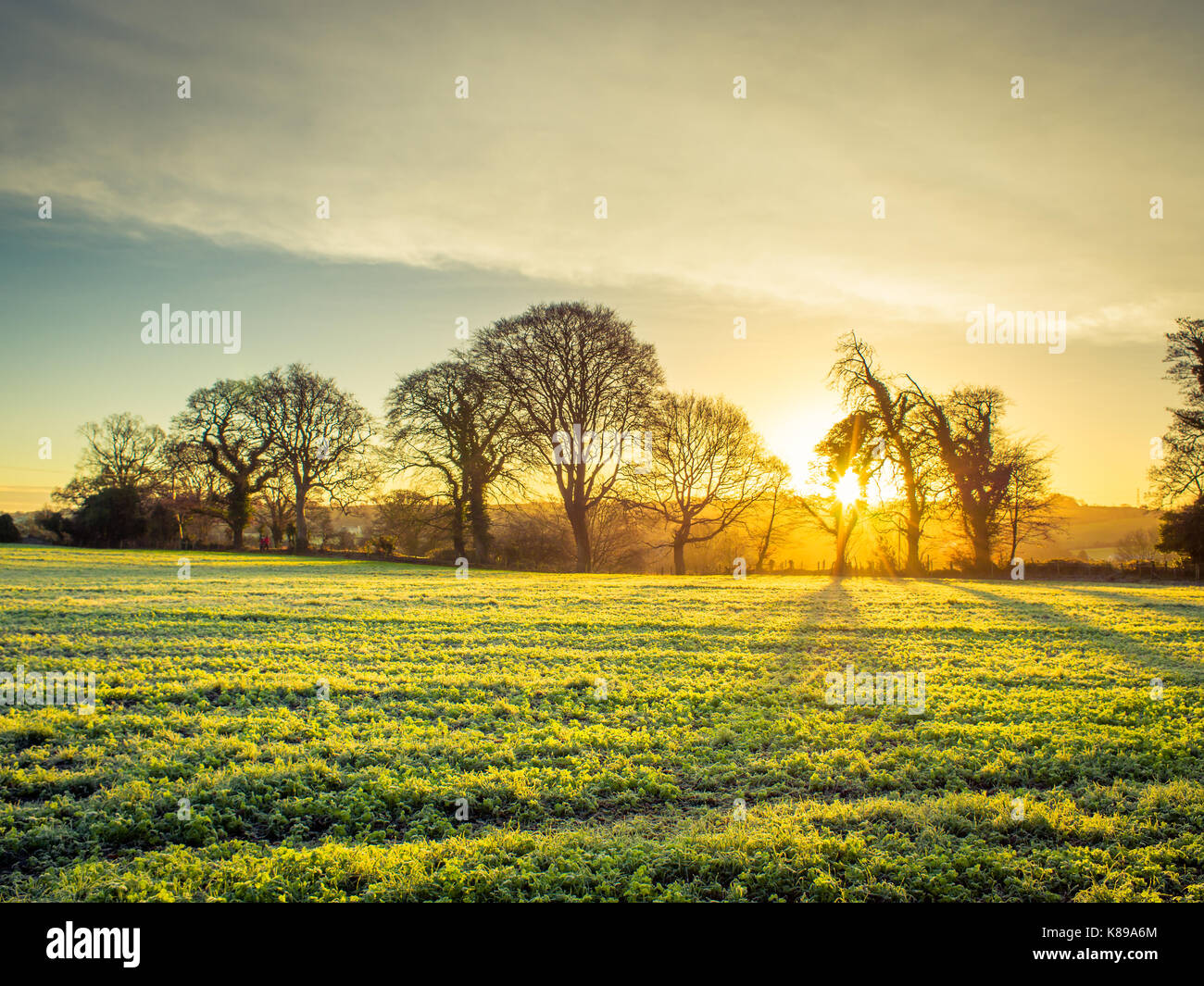 Countryside winter morning sunrise,Northern Ireland Stock Photo - Alamy