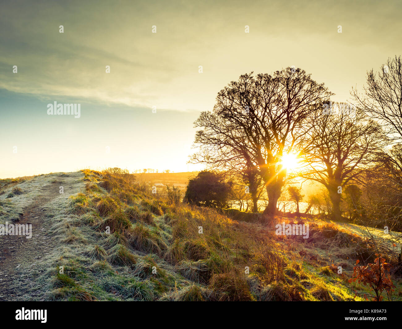 Countryside winter morning sunrise,Northern Ireland Stock Photo - Alamy