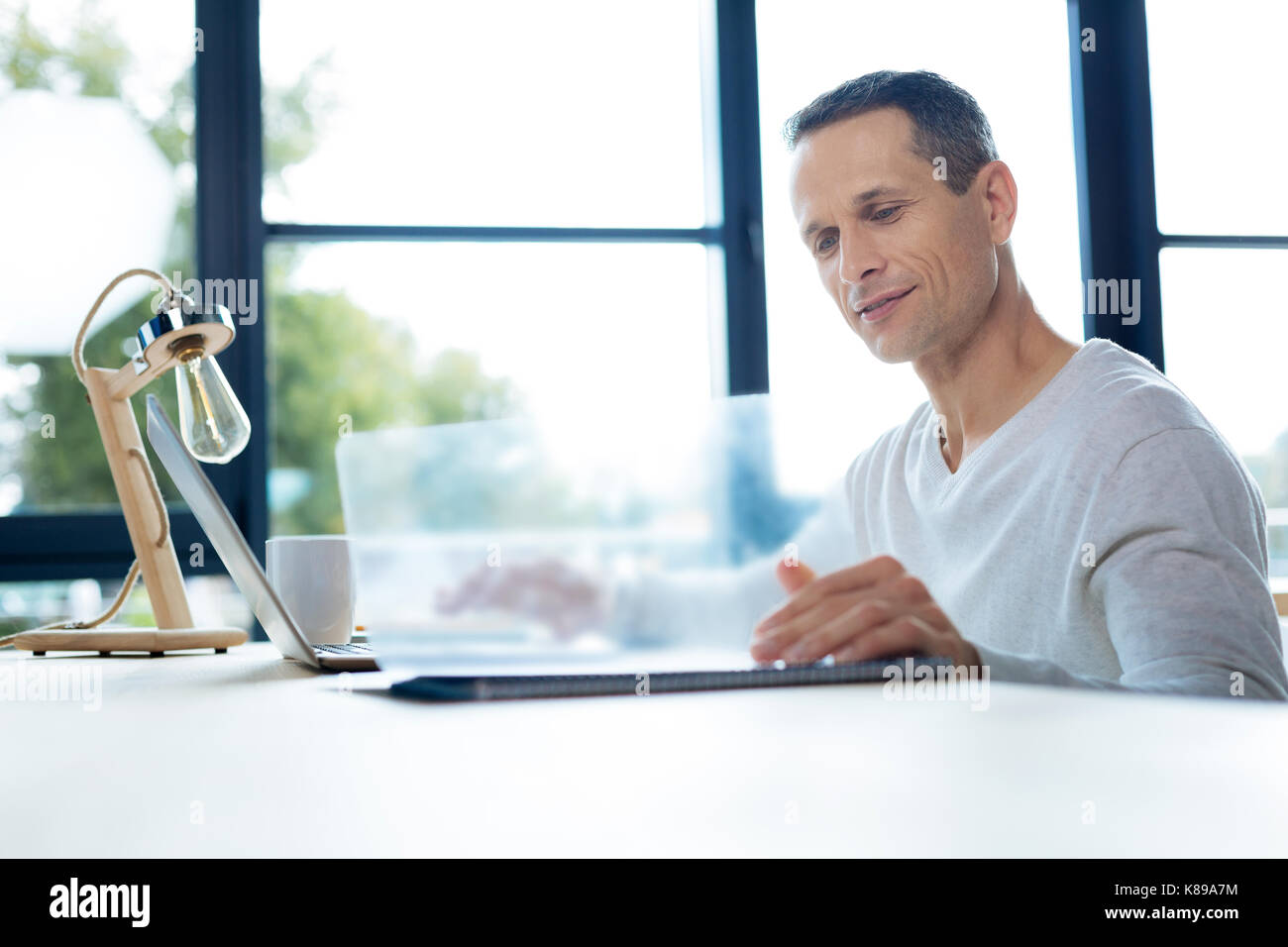 Delighted handsome businessman being at work Stock Photo - Alamy