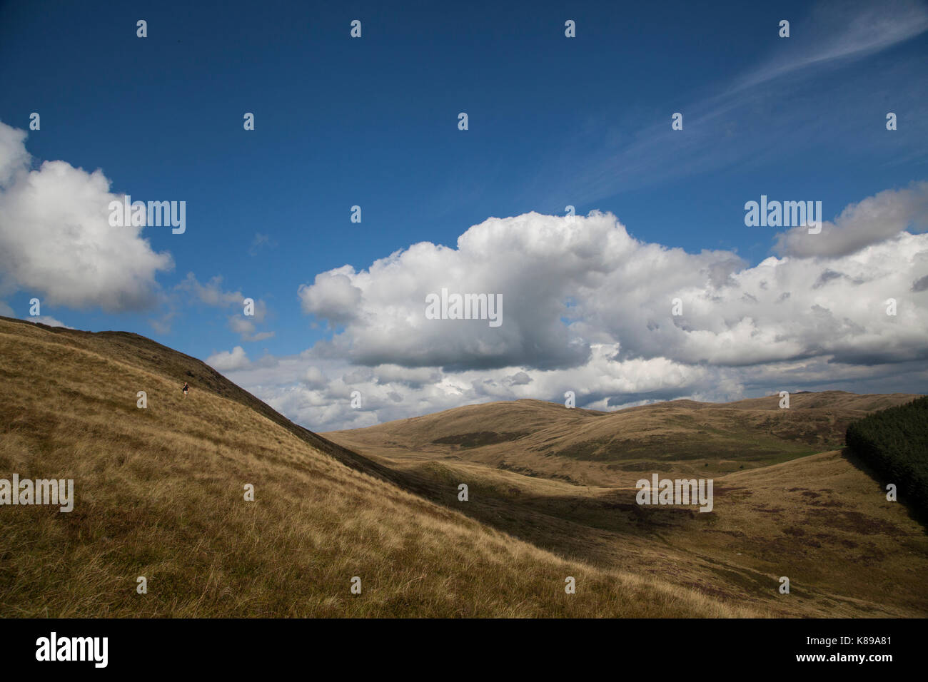 View from the hillside of Moel Emoel above the town of Bala in North ...