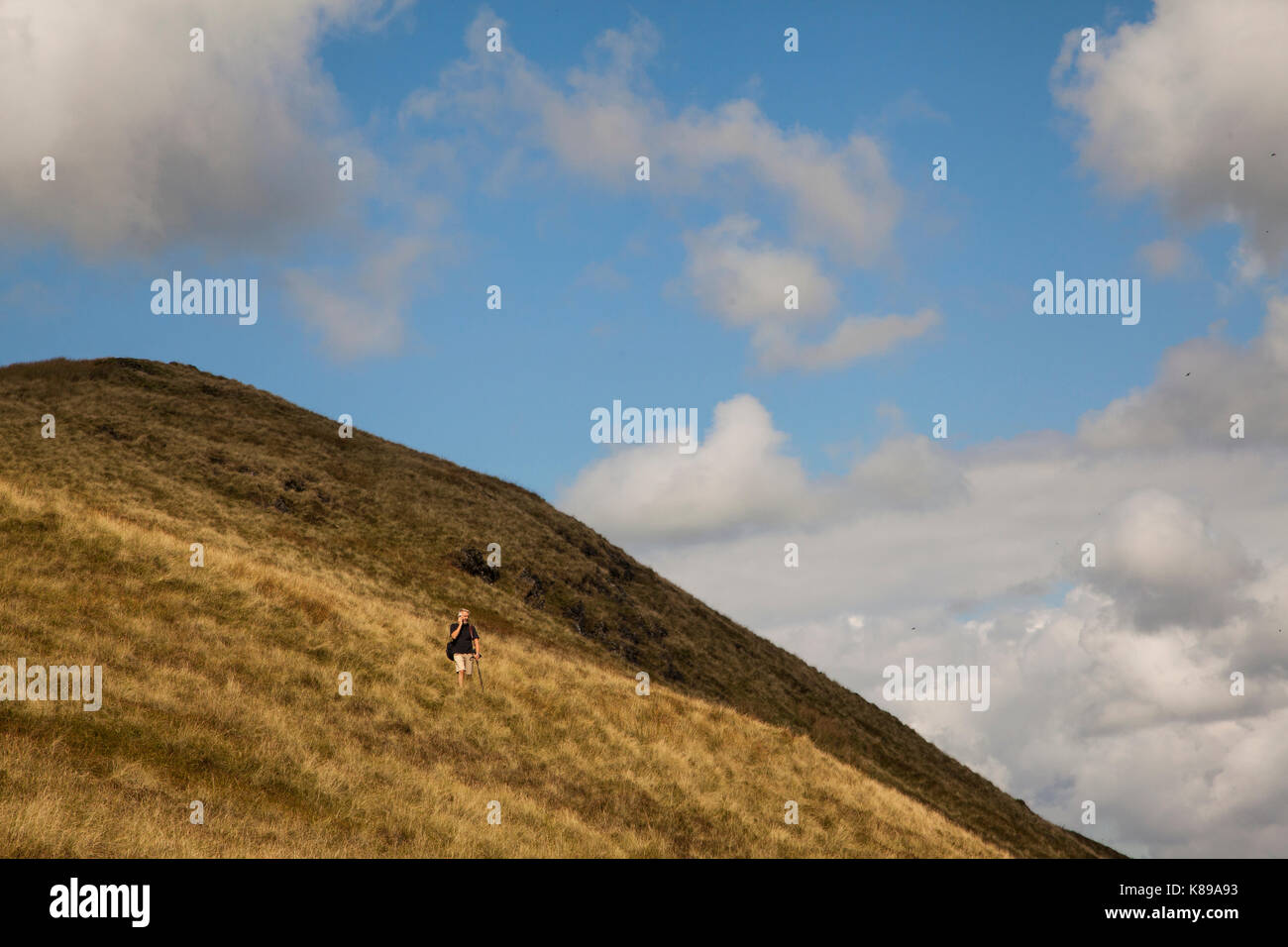 Man hill walking on the hillside of Moel Emoel above the town of Bala ...