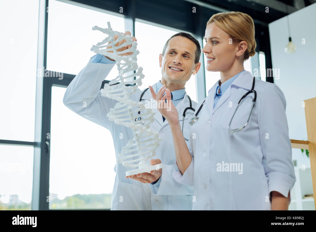 Joyful smart researchers looking at the DNA model Stock Photo - Alamy
