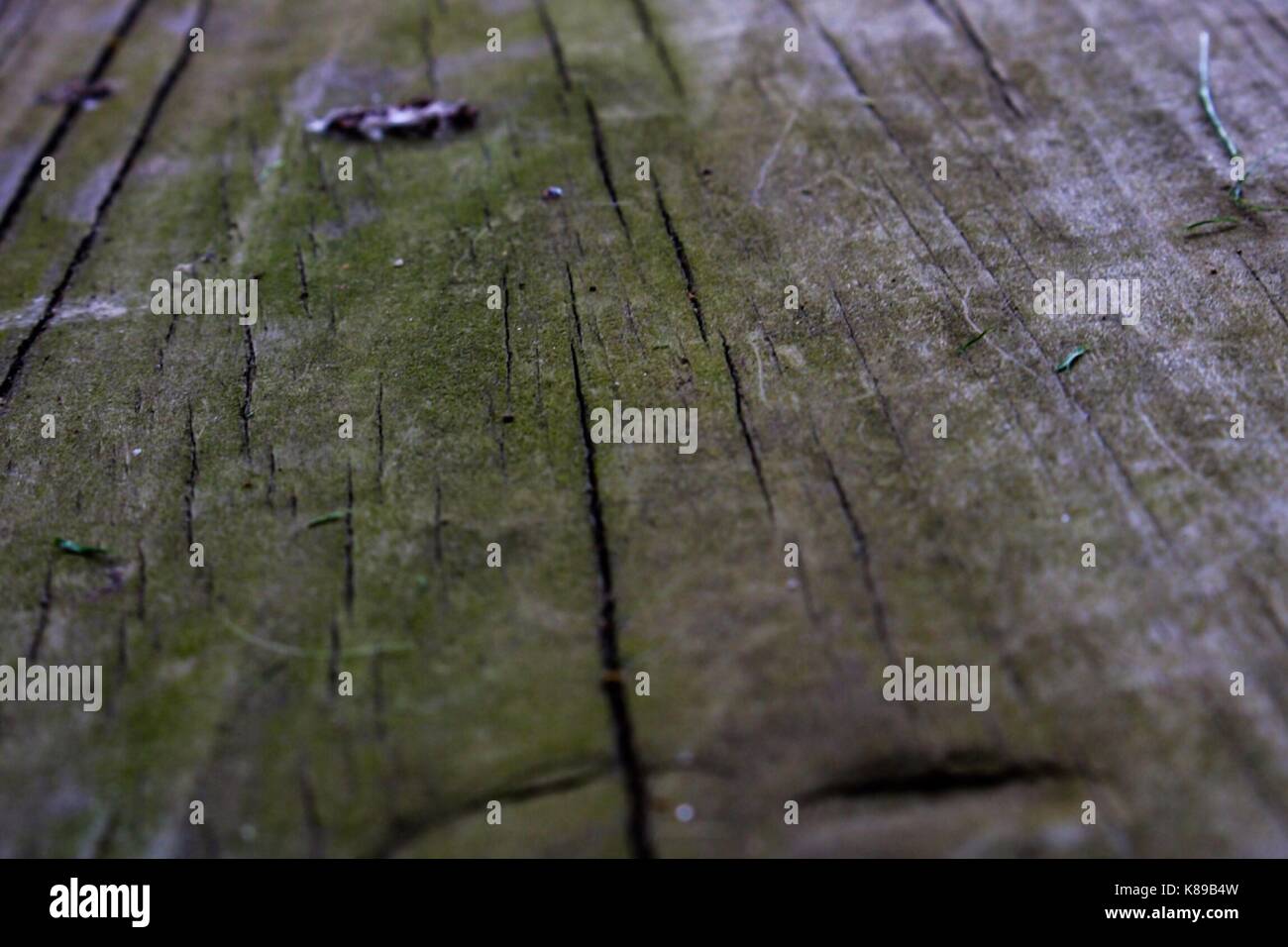 Close up beautiful wood hi-res stock photography and images - Alamy
