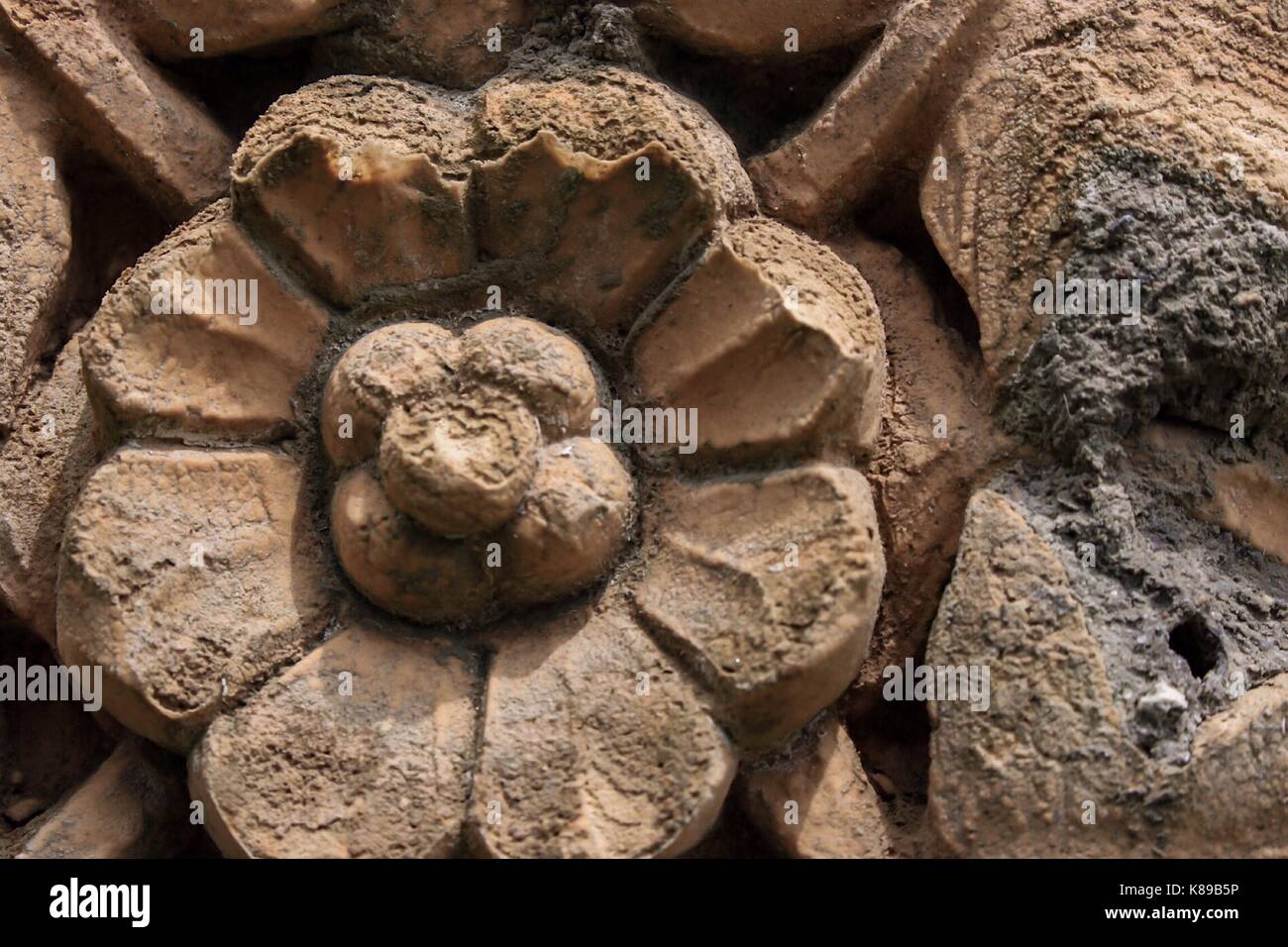 Texture focused photography of stone hi-res stock photography and ...